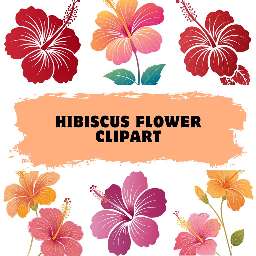 15 Hibiscus Flower Clipart Free